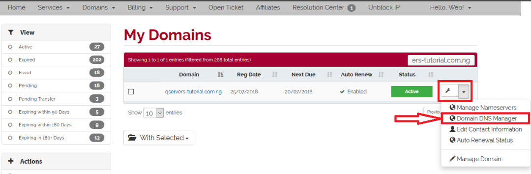How to handle DNS Management on QServers Web Hosting | QServers Blog